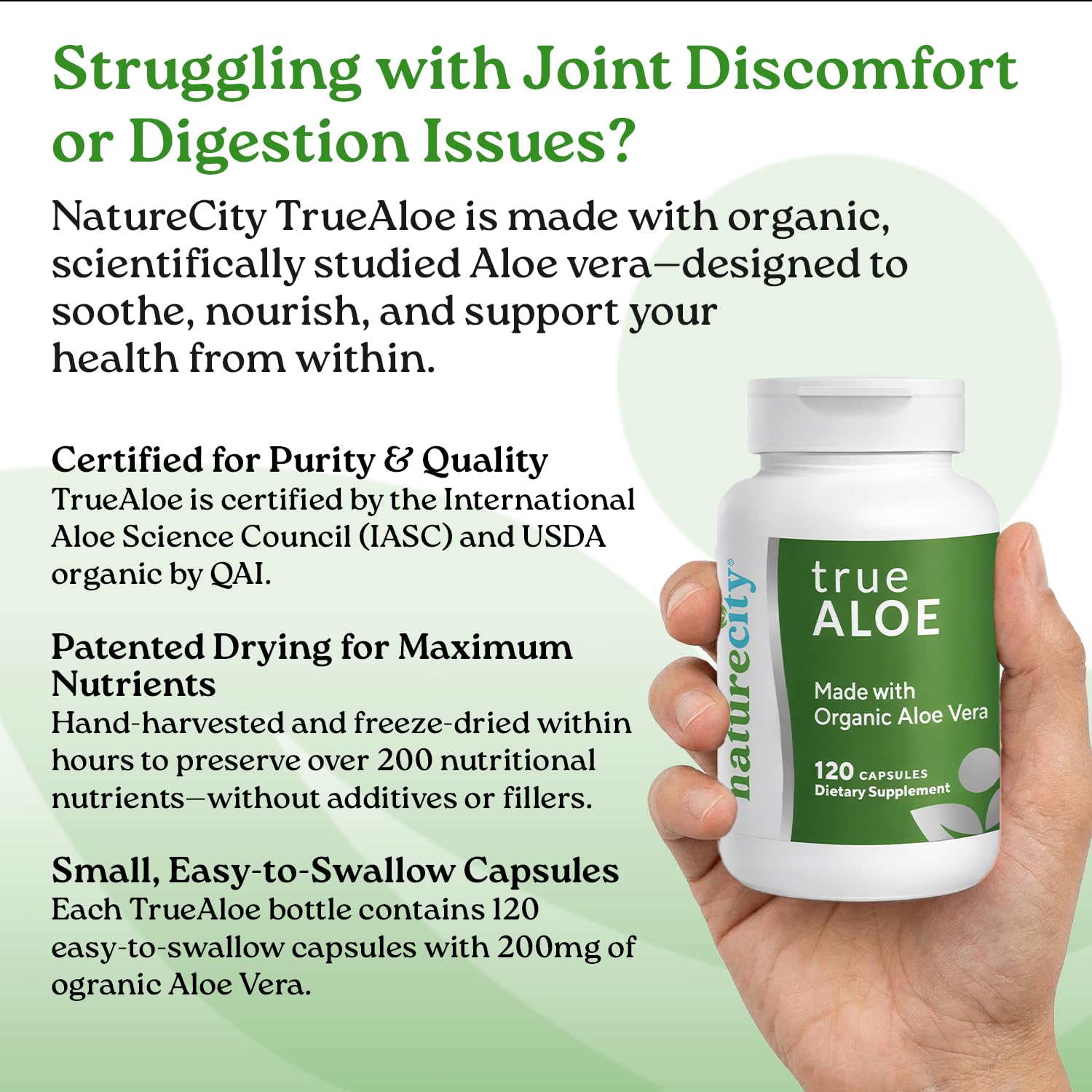 500 mg aloe vera for digestive health