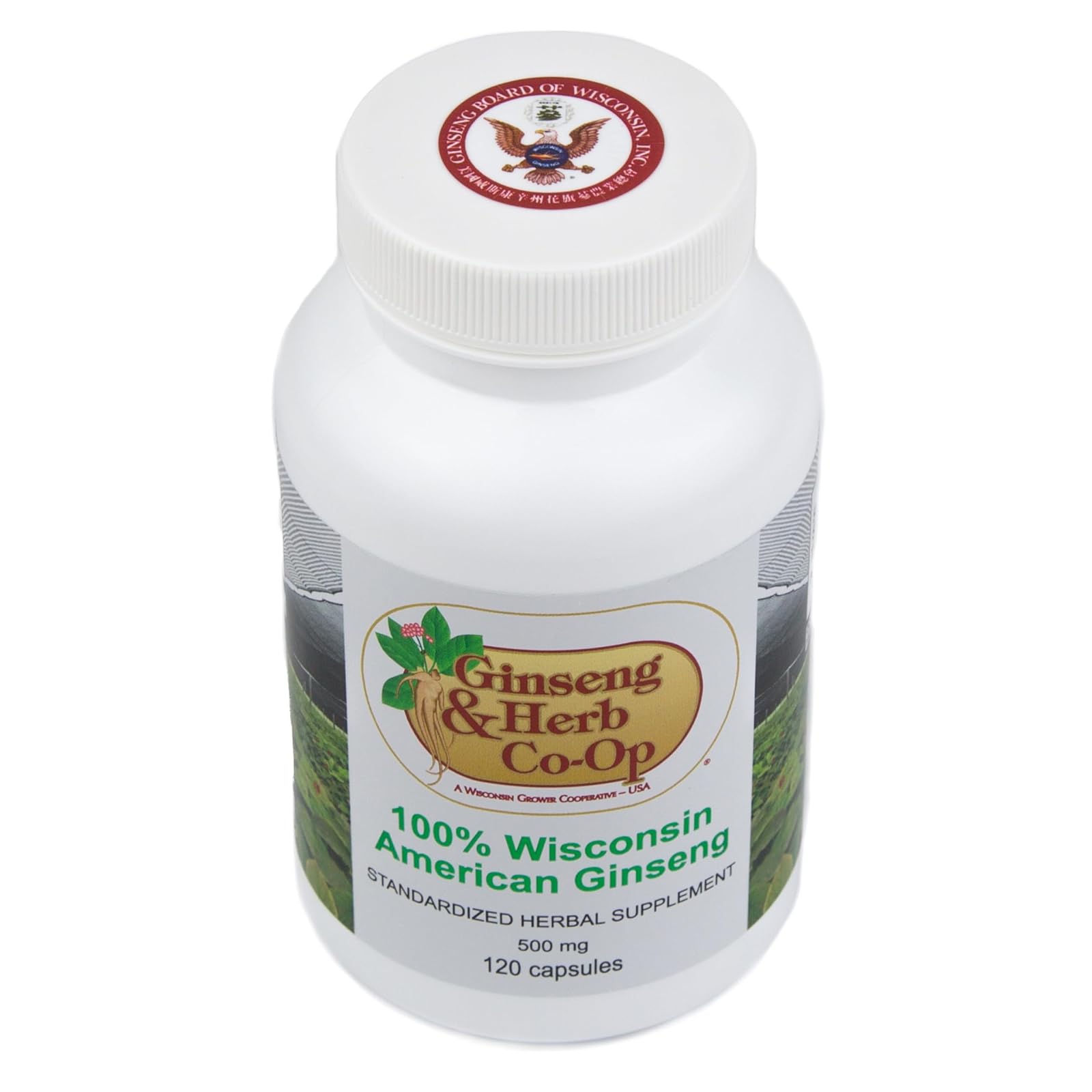 500 mg American ginseng supplement