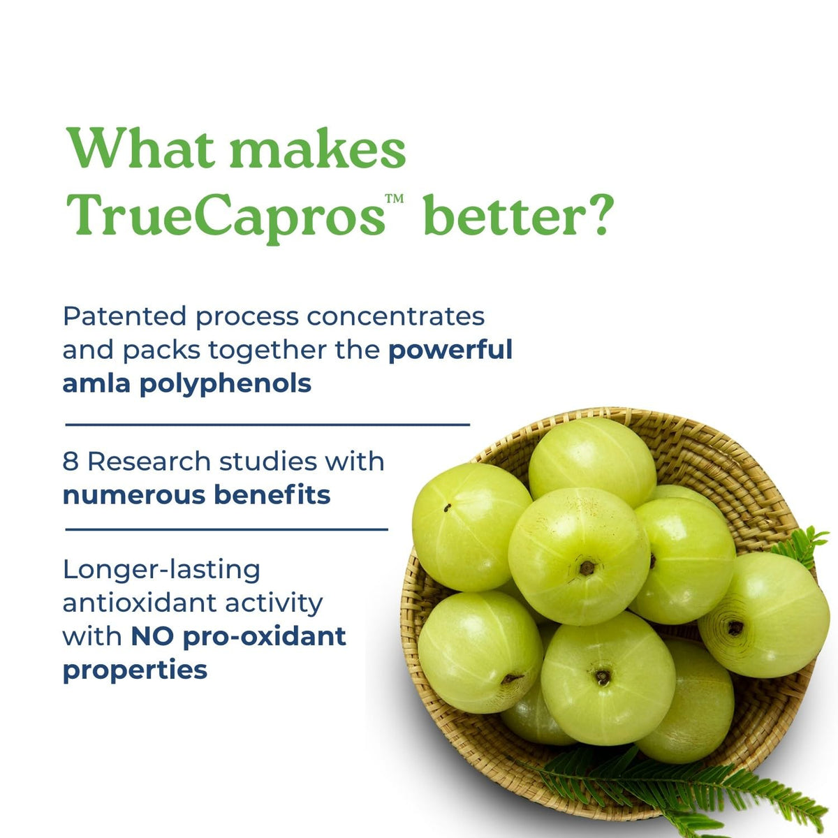 500 mg Amla extract for immunity