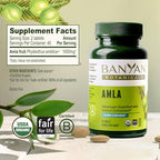 500 mg amla for immune support