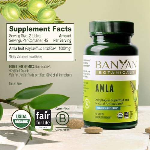 500 mg amla for immune support