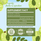 500 mg amla vitamin C supplement