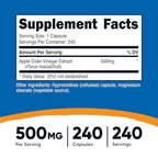 500 mg apple cider vinegar supplement