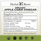 500 mg apple cider vinegar supplement