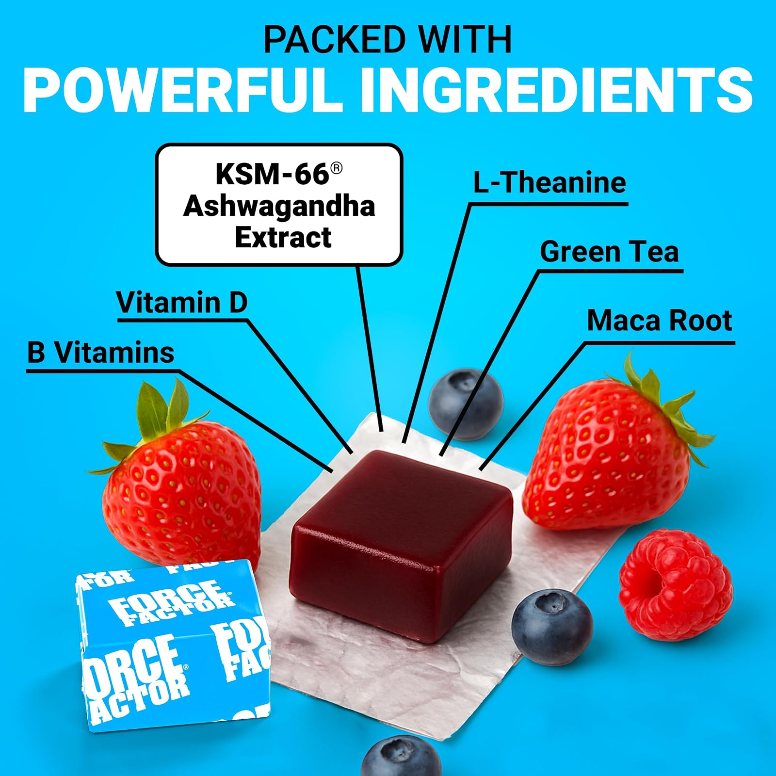 500 mg ashwagandha capsules for daily wellness