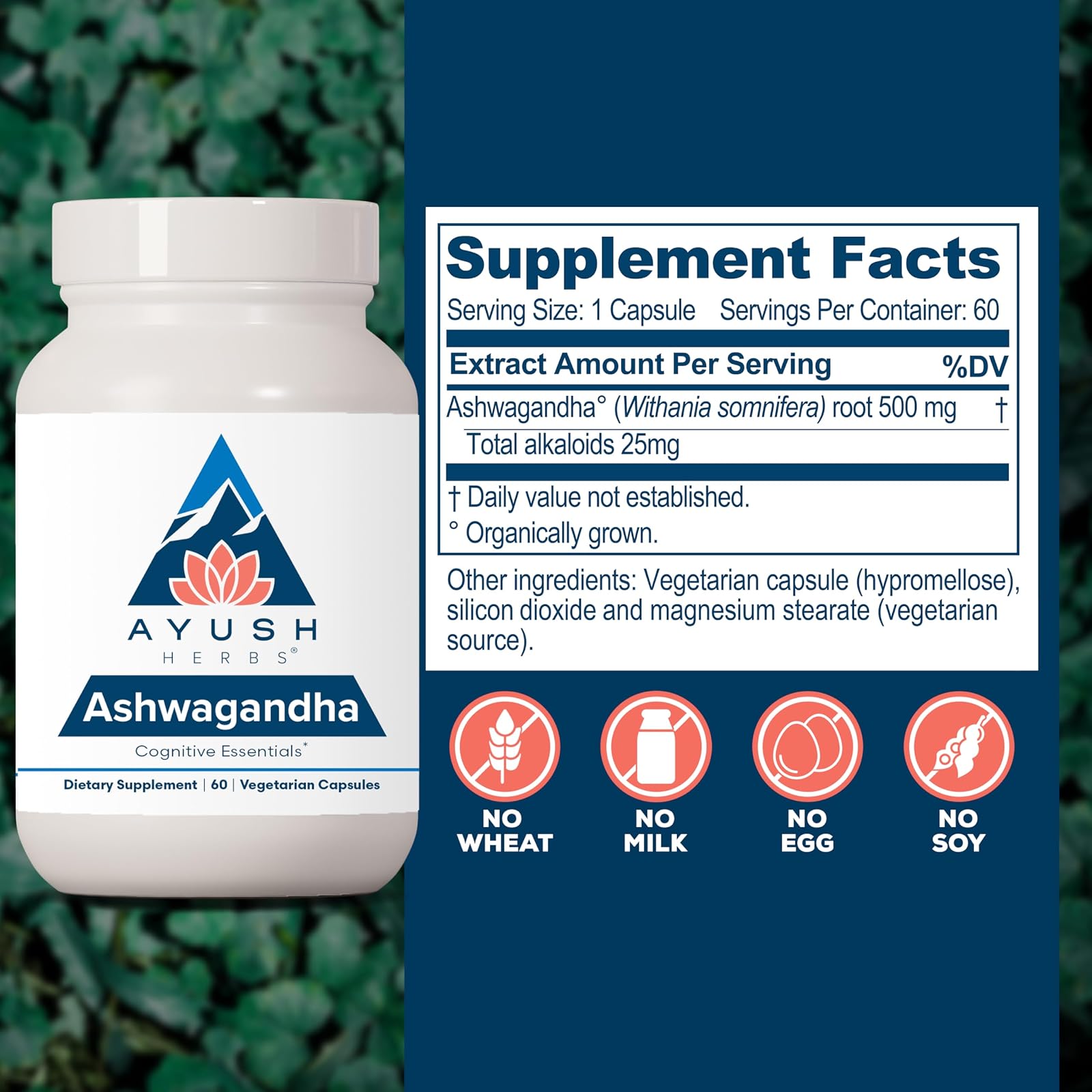 500 mg ashwagandha capsules for energy