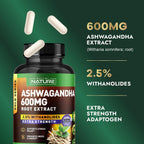 500 mg ashwagandha for wellness
