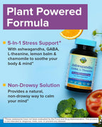 500 mg ashwagandha L-Theanine