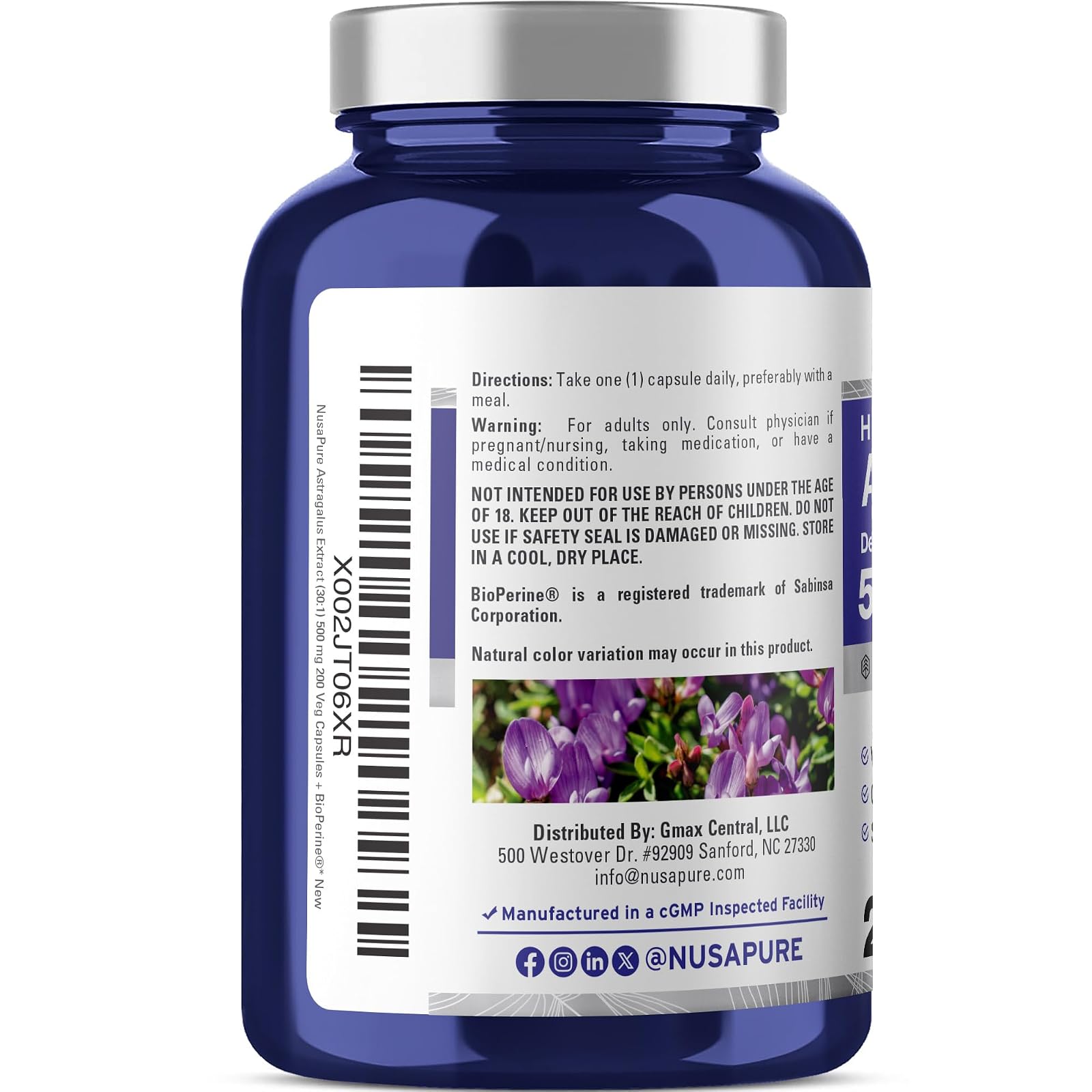 500 mg astragalus root capsules