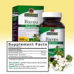 500 mg Bacopa Monnieri supplement