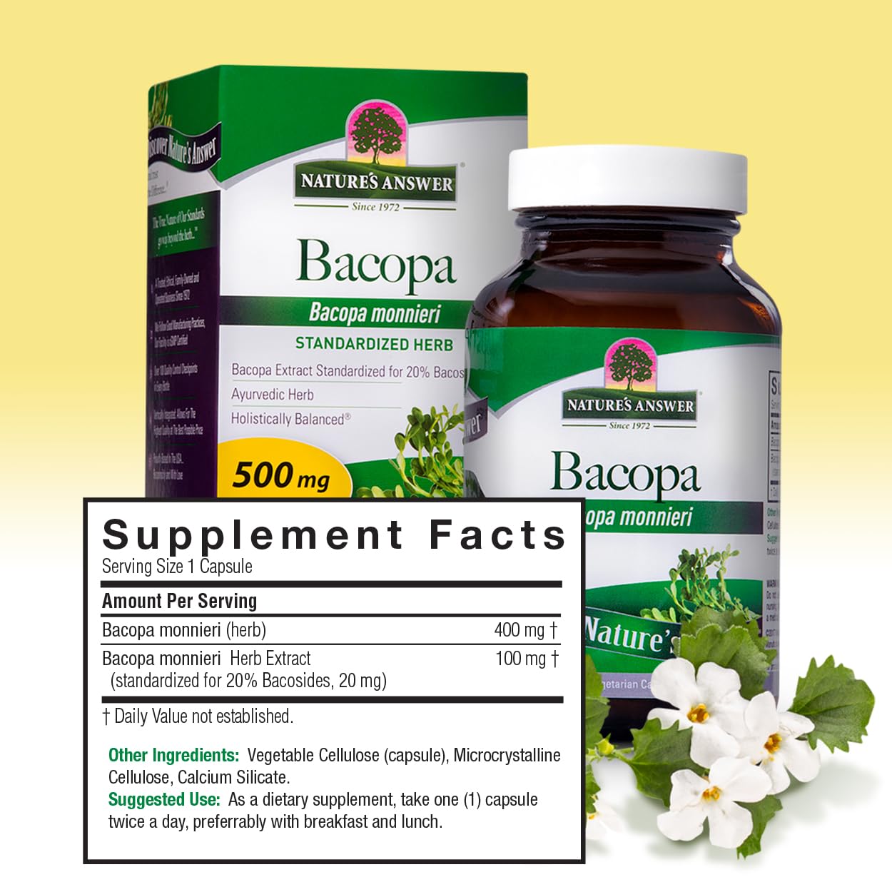 500 mg Bacopa Monnieri supplement