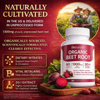 500 mg beet root for athletic performance