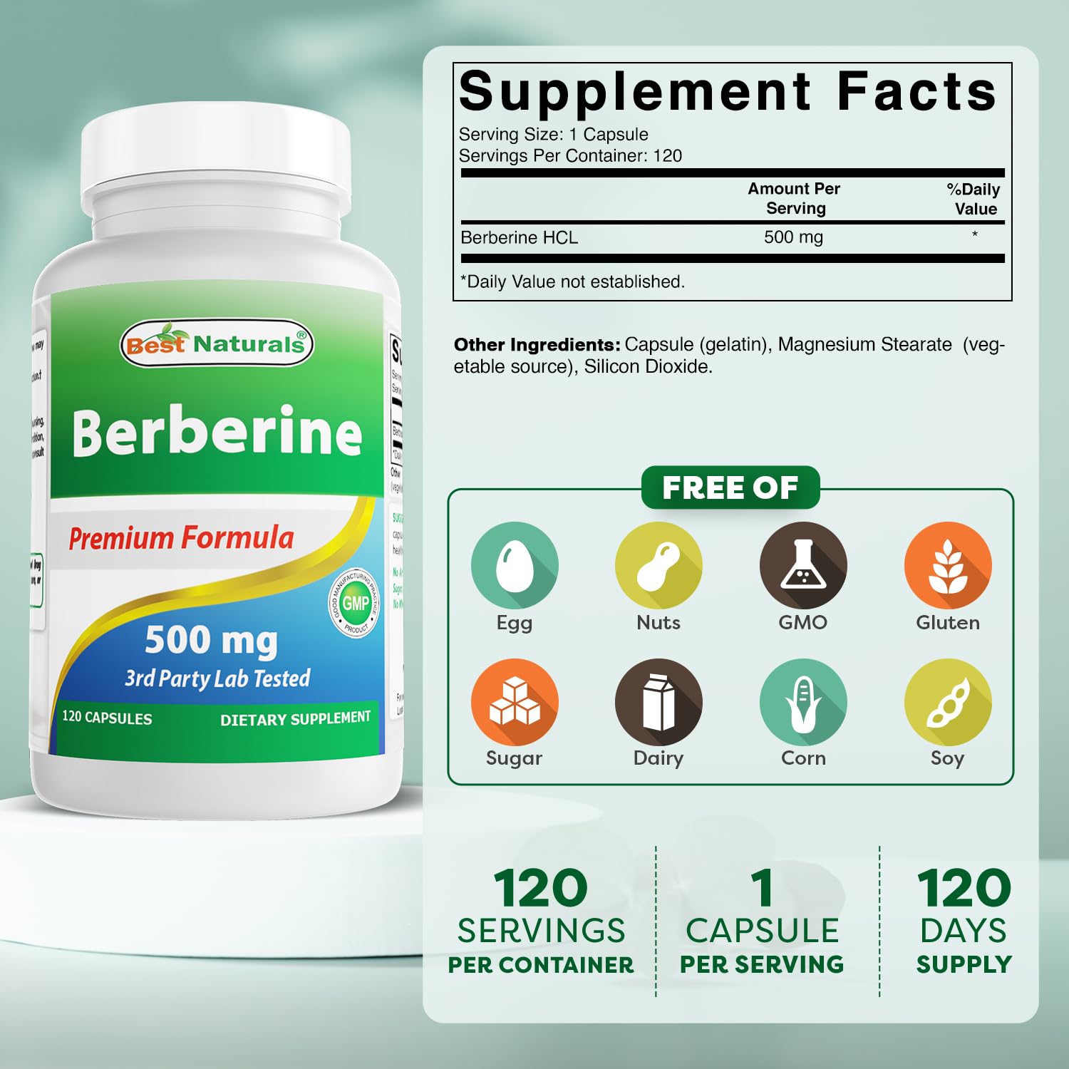 500 mg berberine for metabolic support