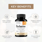 500 mg berberine HCL supplement