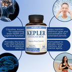 500 mg choline capsules for brain health