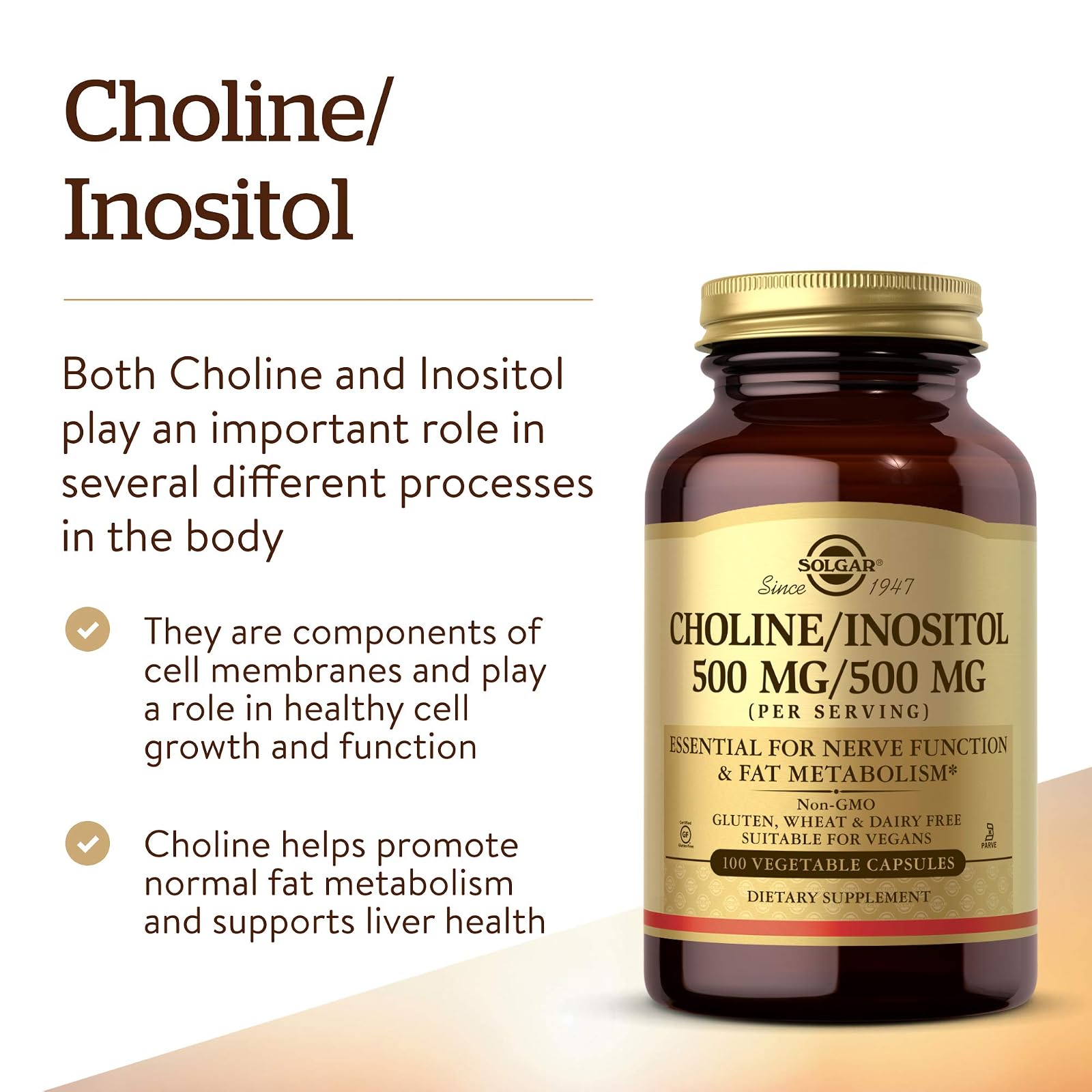 500 mg Choline Inositol supplement