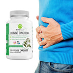 500 mg Cinchona Bark for vitality