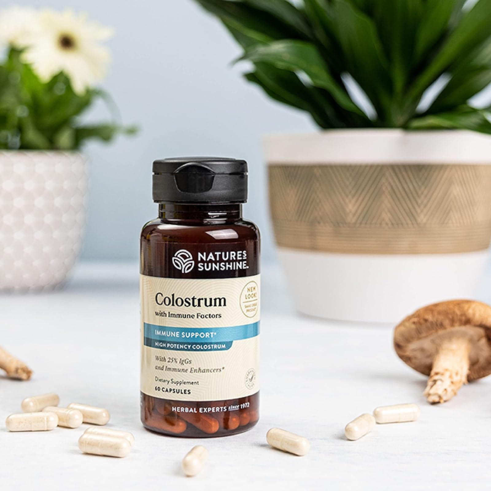 500 mg colostrum capsules for immunity