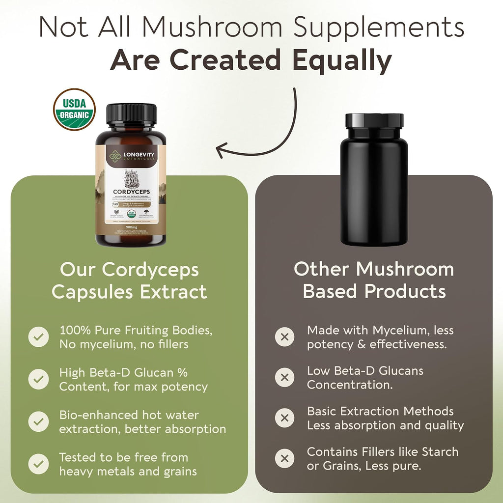500 mg cordyceps for energy