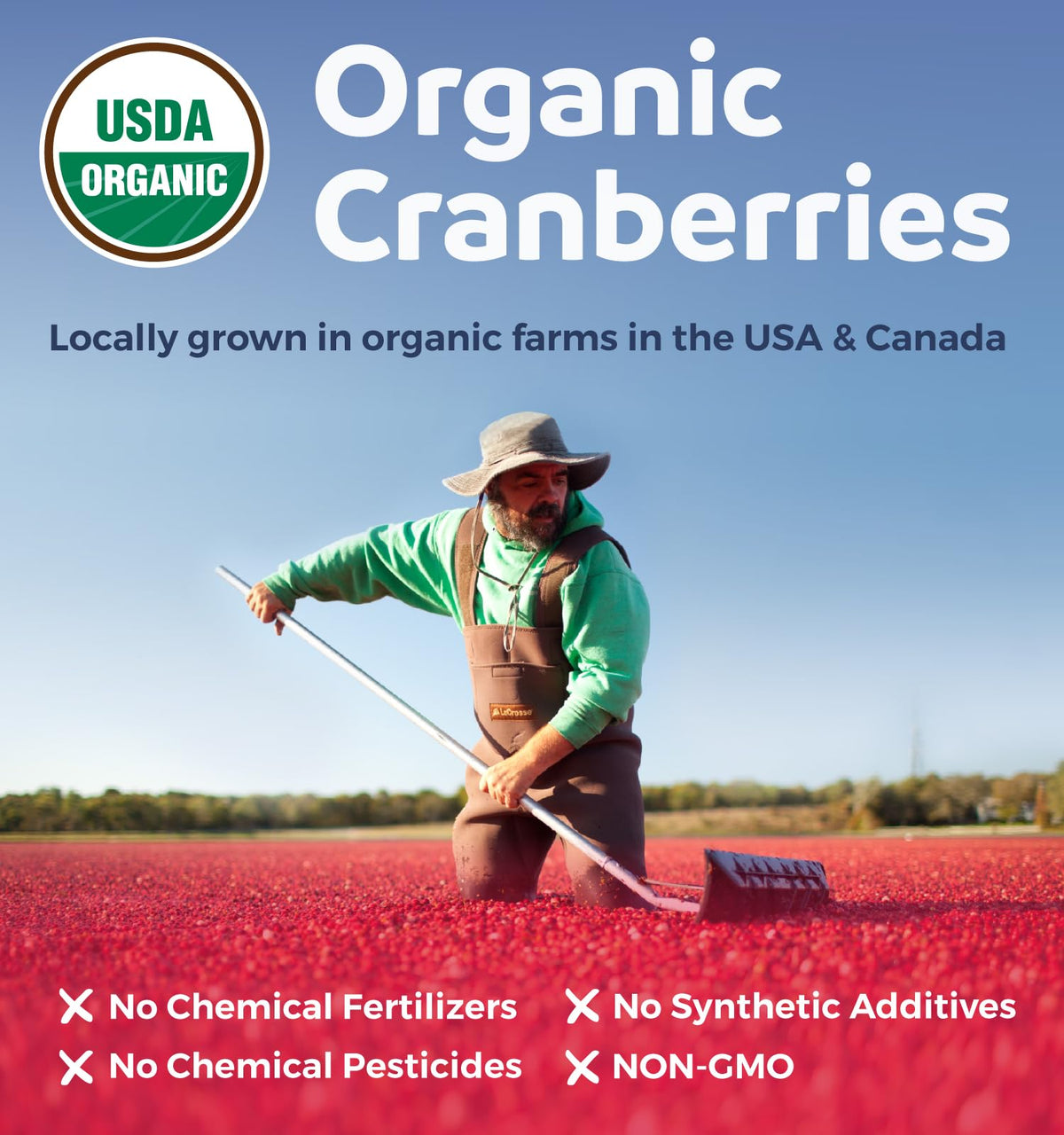 500 mg cranberry capsules for immunity