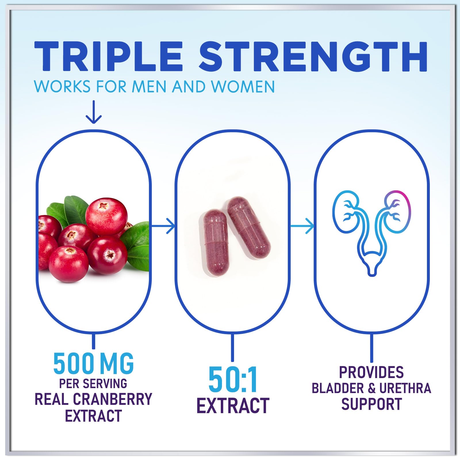 500 mg cranberry extract benefits