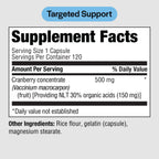 500 mg cranberry extract for antioxidant support