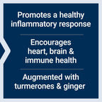 500 mg curcumin for inflammation relief
