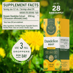 500 mg dandelion extract benefits