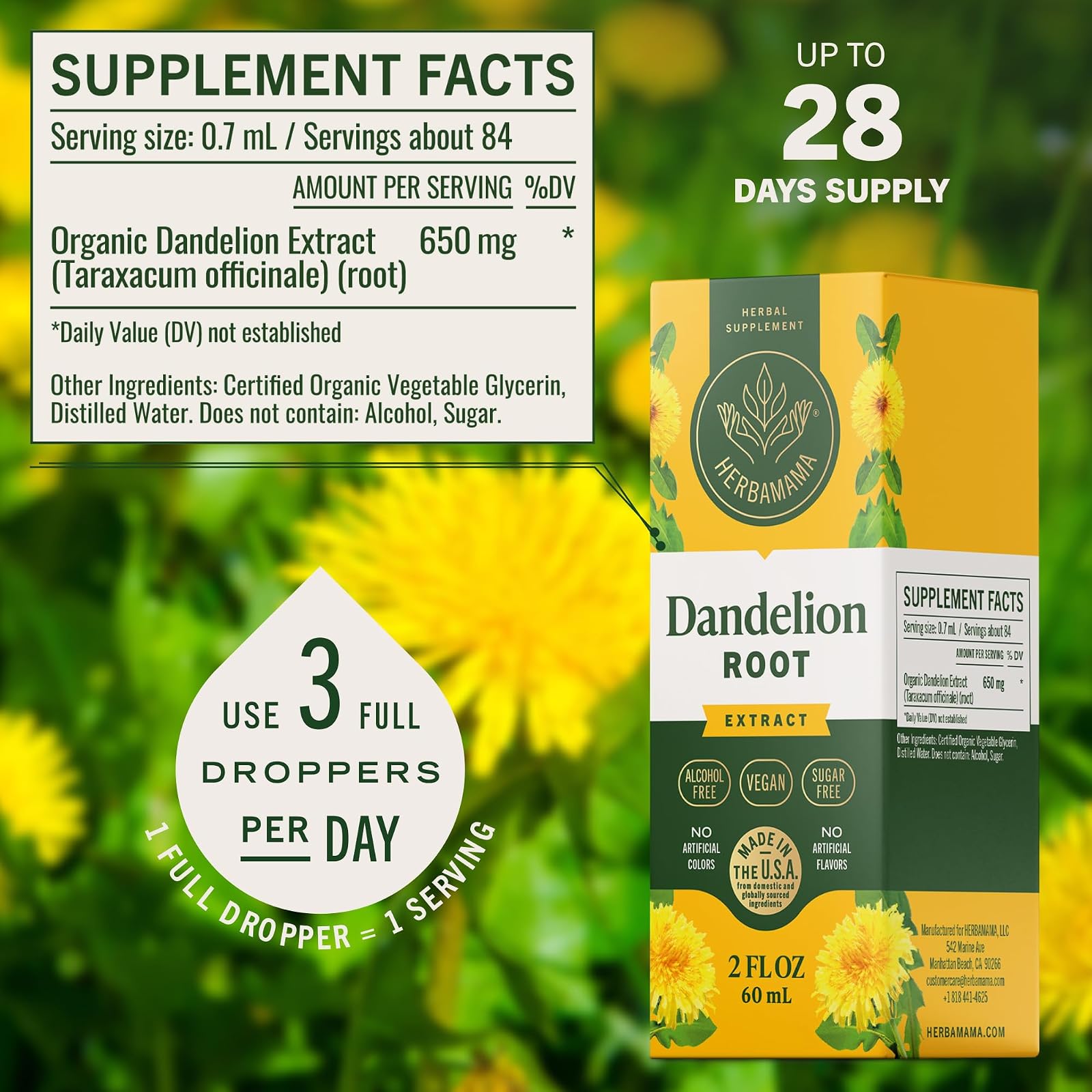 500 mg dandelion extract benefits