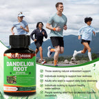 500 mg dandelion root supplement benefits