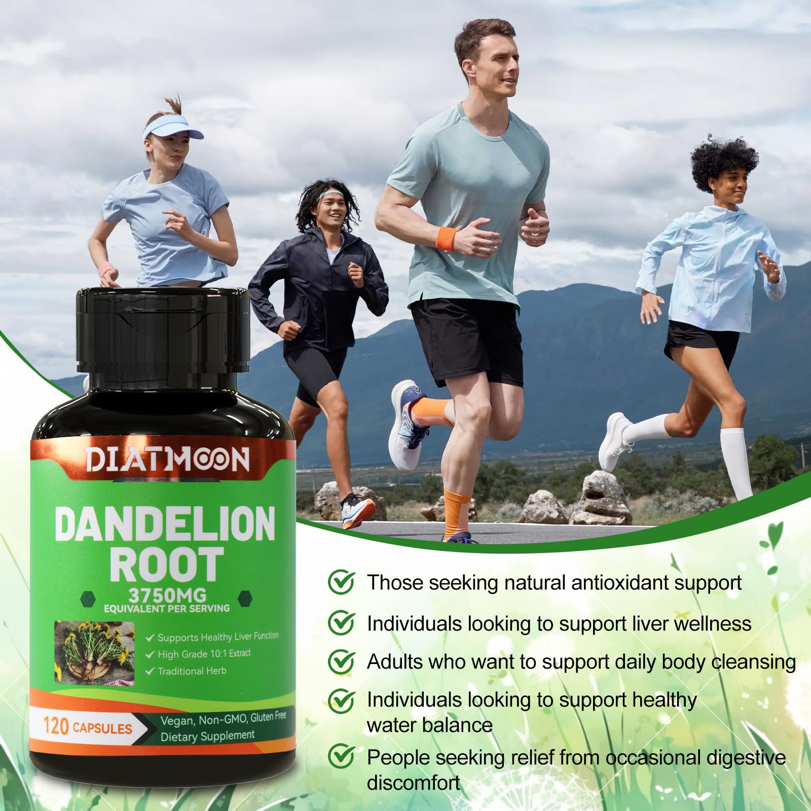 500 mg dandelion root supplement benefits