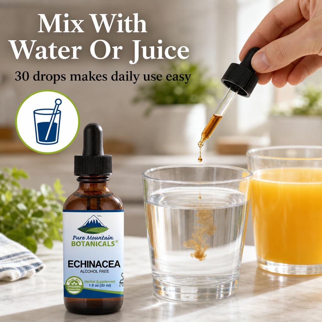 500 mg echinacea herbal supplement