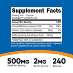 500 mg GABA with vitamin B6 benefits