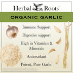 500 mg garlic for daily wellness