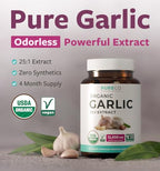 500 mg garlic supplement benefits