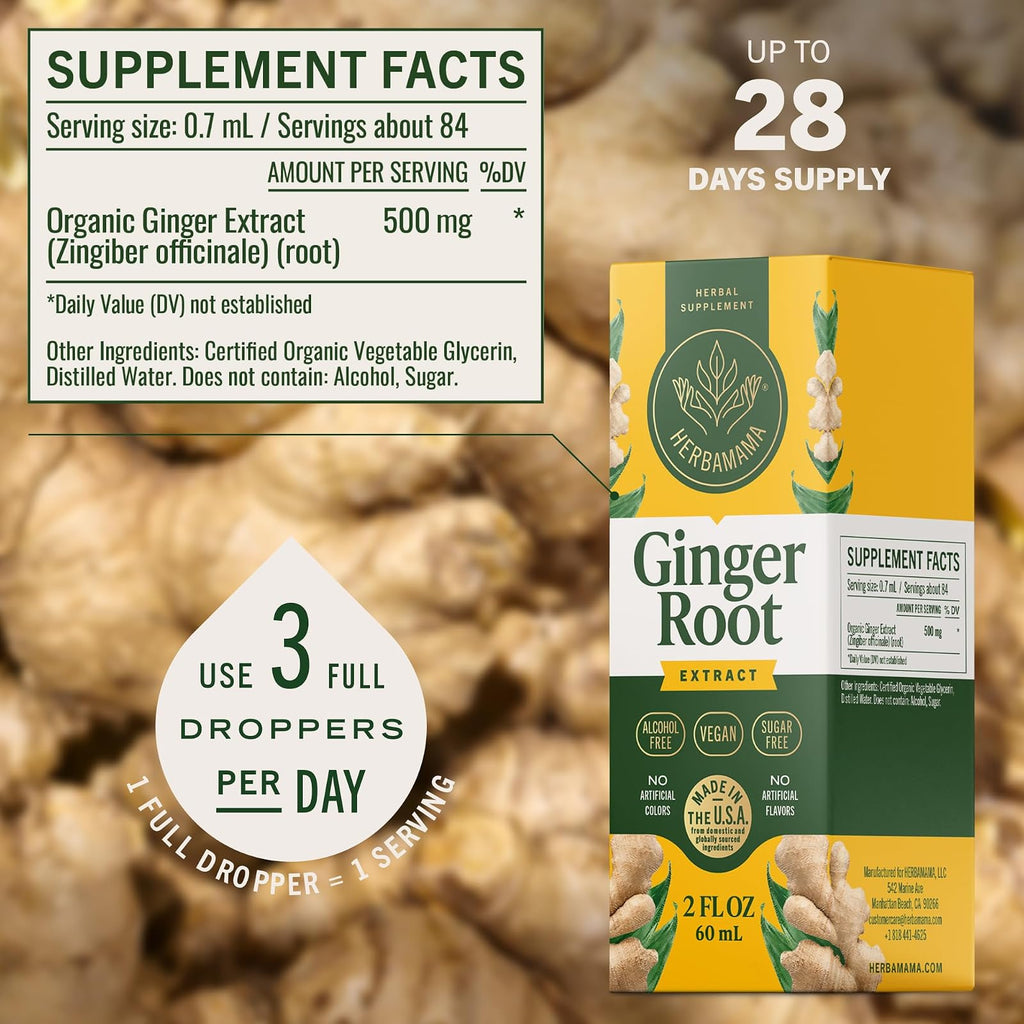 500 mg ginger extract for digestion