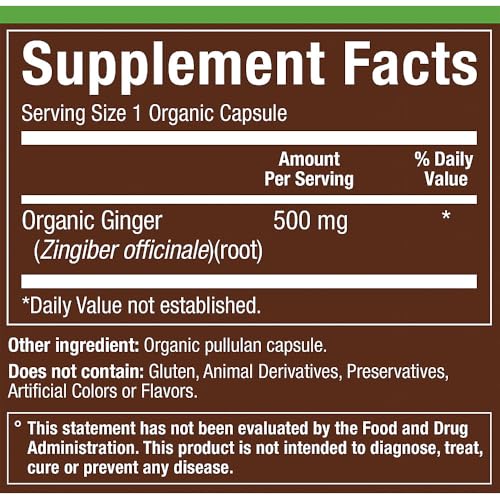 500 mg ginger for digestive support
