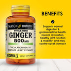 500 mg ginger herbal supplement