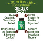 500 mg ginger root health benefits