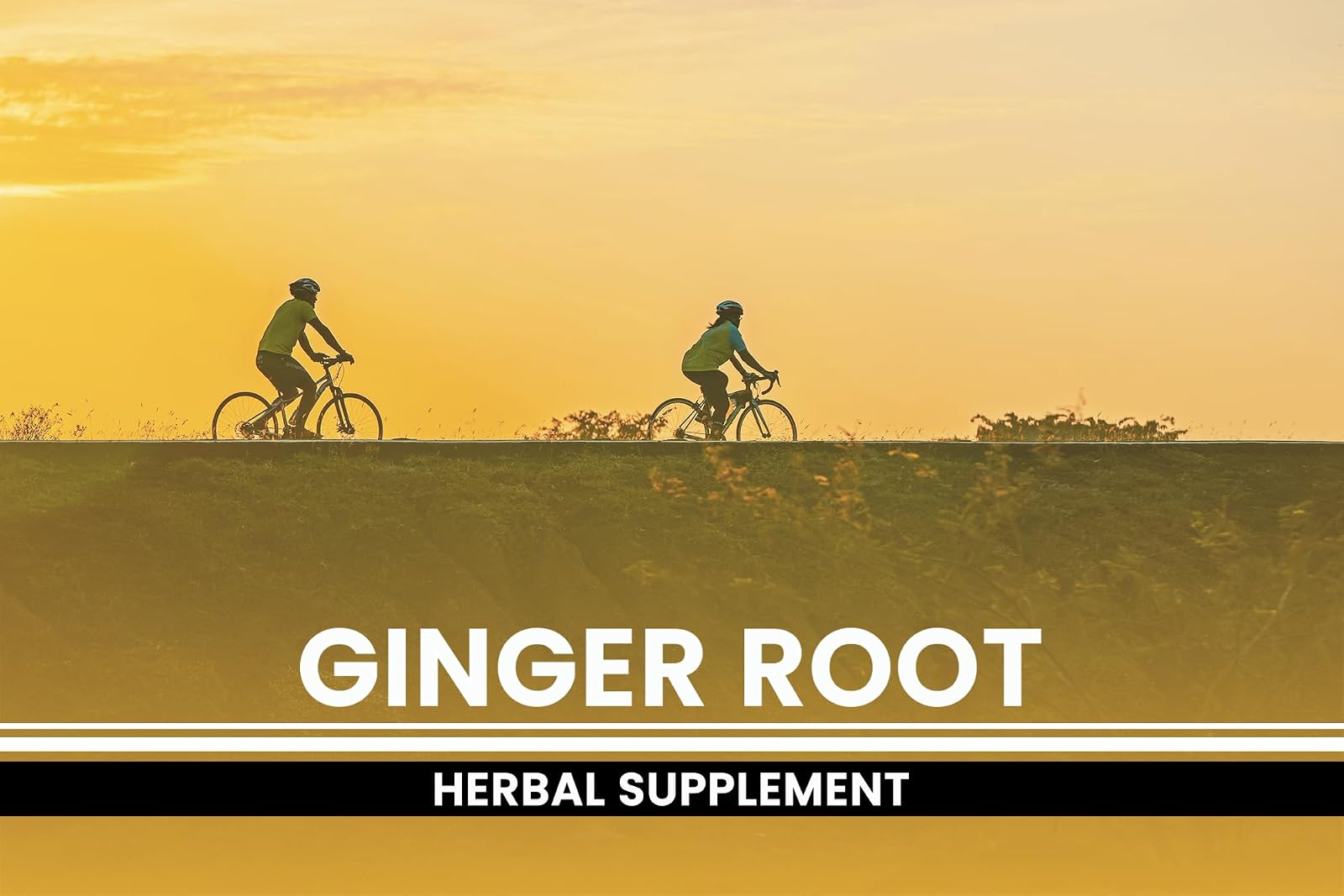 500 mg ginger root supplement benefits
