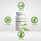 500 mg ginkgo biloba for memory