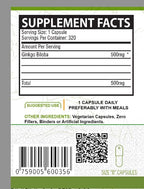 500 mg Ginkgo Biloba herbal supplement