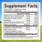 500 mg glutathione for immune support