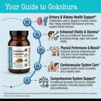 500 mg Gokshura veg capsules