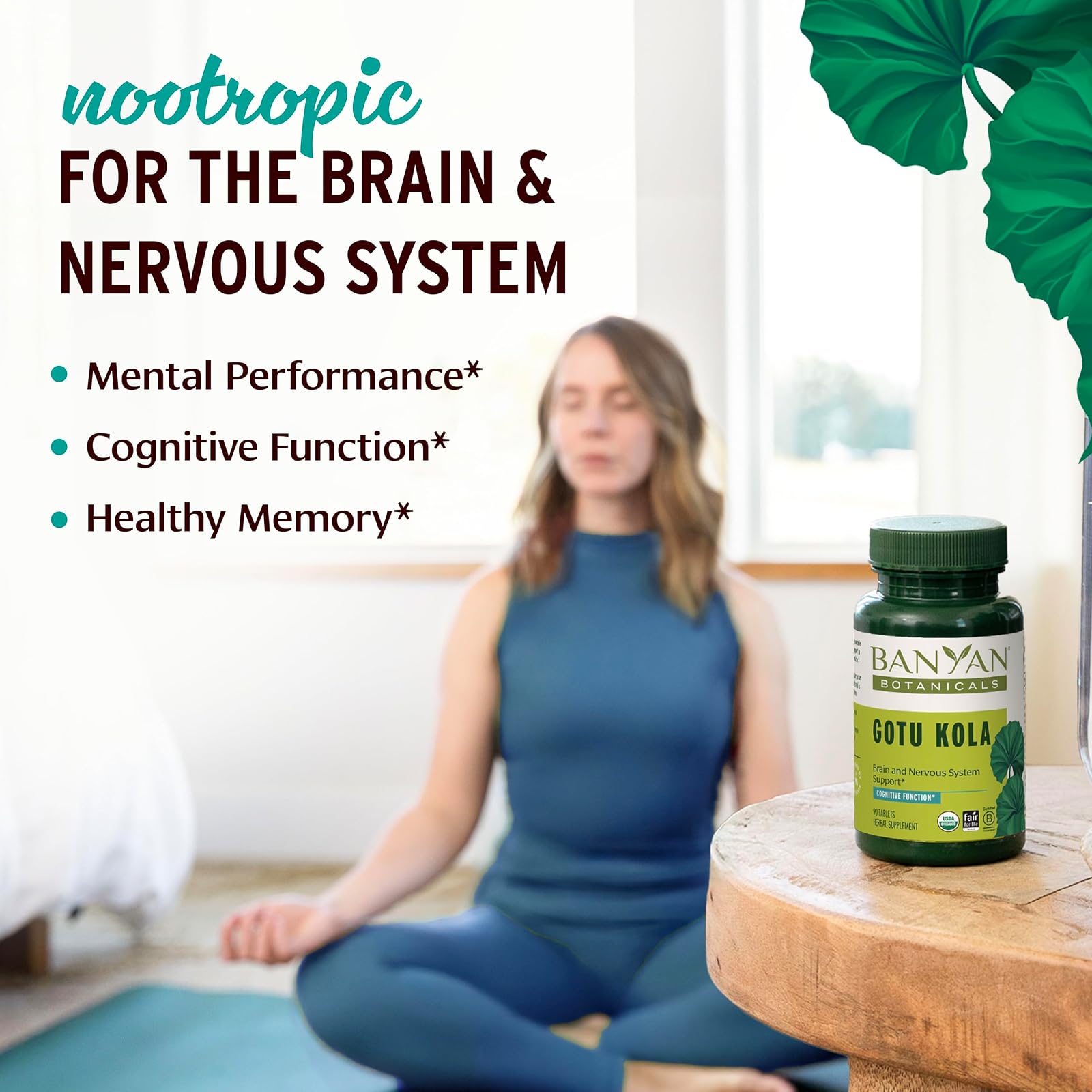 500 mg Gotu Kola herbal supplement