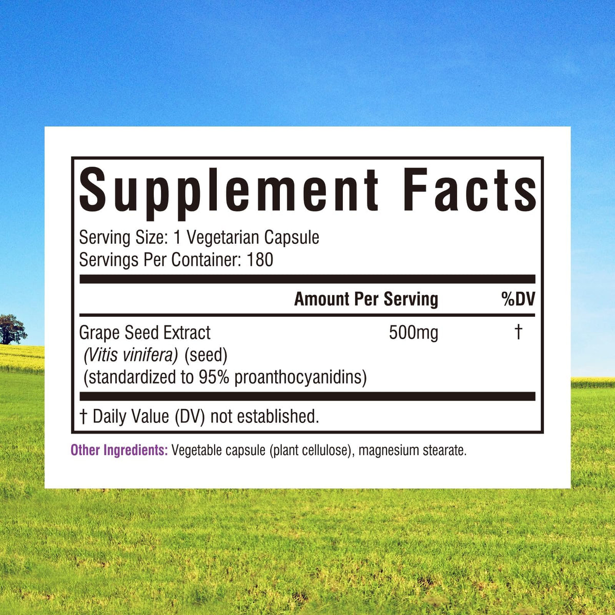 500 mg grape seed capsules for health