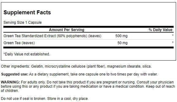 500 mg green tea extract benefits