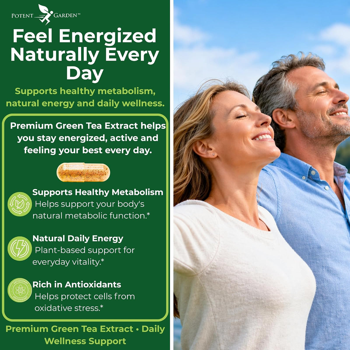 500 mg green tea extract benefits
