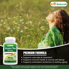 500 mg green tea extract capsules