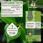 500 mg Gymnema Sylvestre benefits